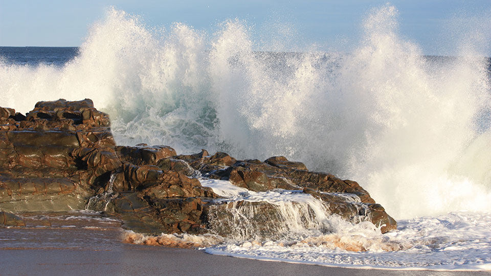 Coastal Collection | Quintiesse